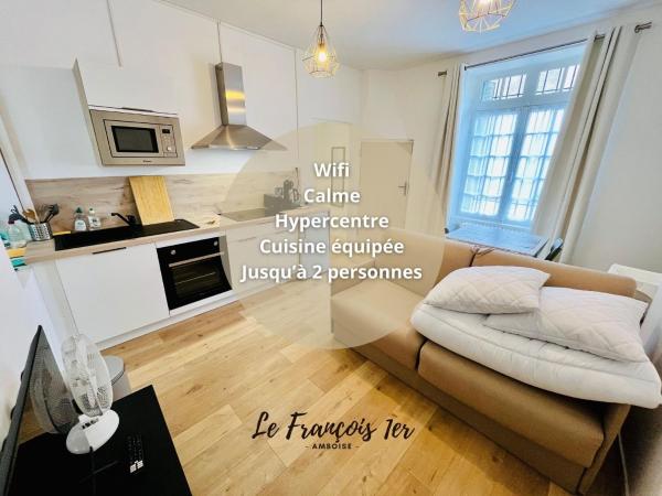 Le François 1er - Studio Entre Loire Et Château Royal - Manoir De La Concorde - Amboise