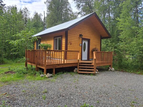 Talkeetna Fireweed Cabin 2 - Talkeetna, AK