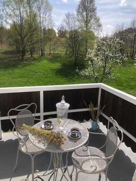 W Karkonoszach Na Chacie Jacuzzi, Sauna, Bilard, Leśny Park - Karpacz