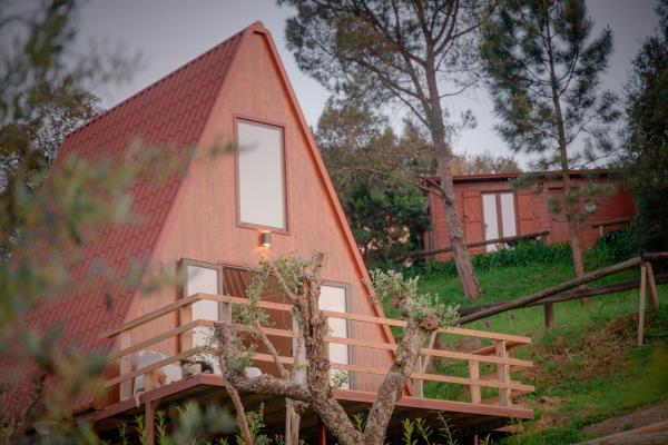 Cabana Oliveira - Castelo de Paiva