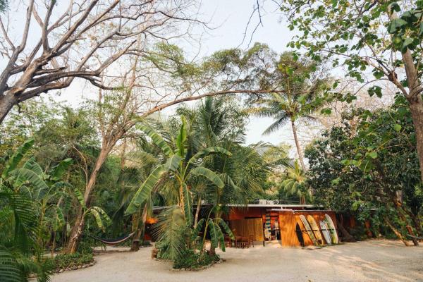Zeneidas Surf Garden - Costa Rica