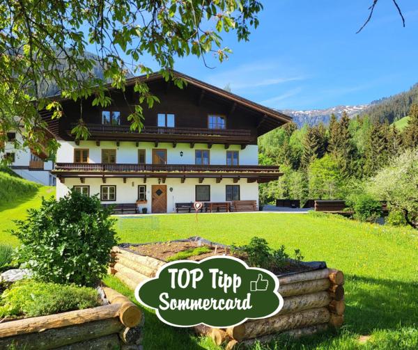 Almliesl Leog-685 - Leogang