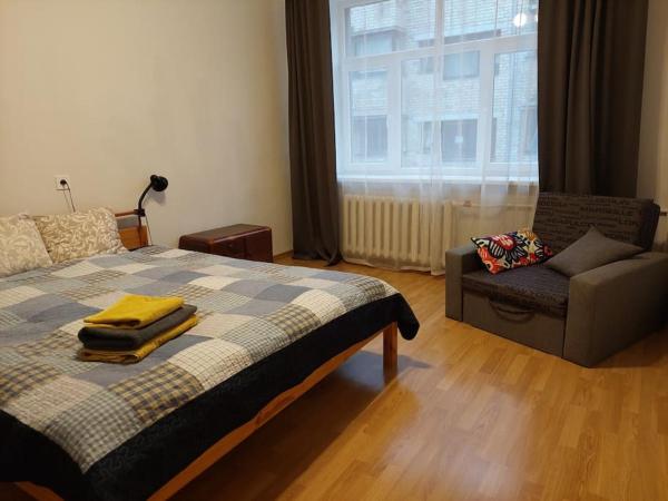 Bright Spacious Apartment With Street Parking - Riga