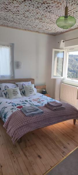 La Petite Maison D'hose - Firminy