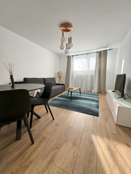 Joli Appartement Dans Une Maison Remise à Neuf - Strasbourg