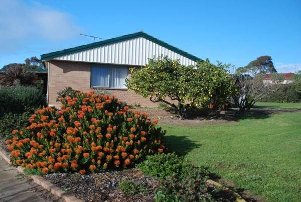 Lemontree Cottage - Kingscote