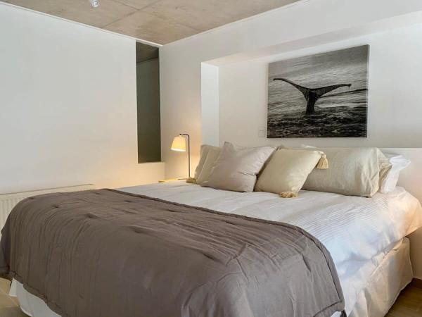 Hom I Top1 Amplio Loft Con Jardín Nuevo Estacionamiento 1309 - Valparaíso