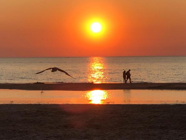 Villa Aan Zee - South Holland