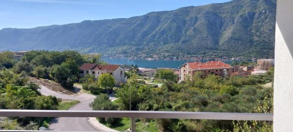 Biserni Apartman 1 - Kotor