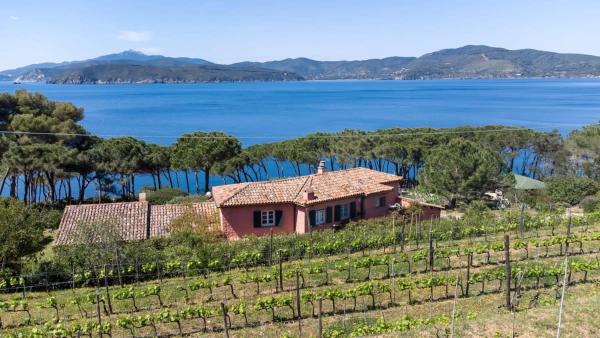 Villaflair - Villa Morcone With Private Beach - Elba