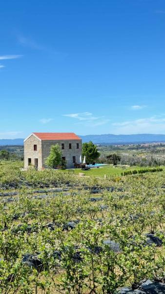 Quinta Da Cumieira Nova - Travancinha