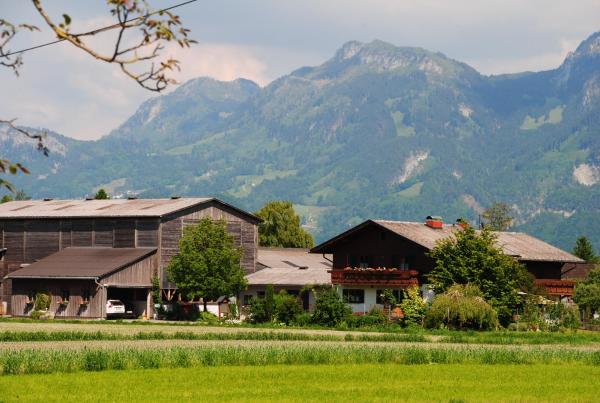 Ferienhof Kopf - Sankt Anton