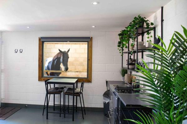 Sleep Next To A Horse In A Stable By The City ! - Exeter