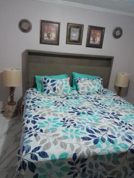 Shauna Apartment - Kingston, Jamaica