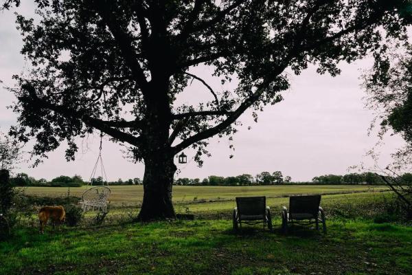 Eco-friendly Welness Tiny House In Liglet - Le Blanc