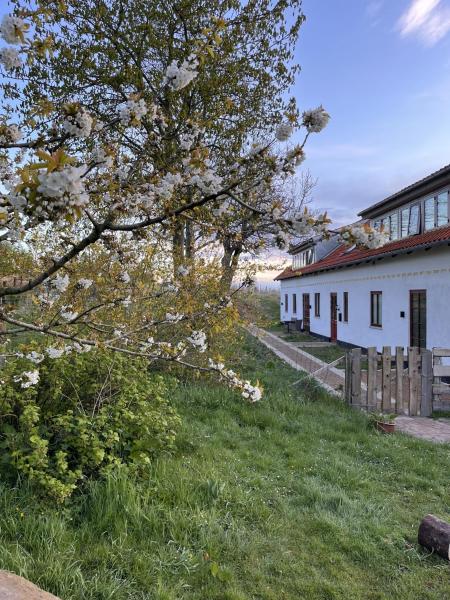 Nordgården - Ferie På Landet - Denmark