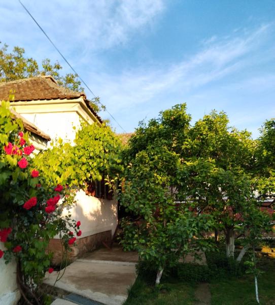 Bistrički Mir 1 - Serbia