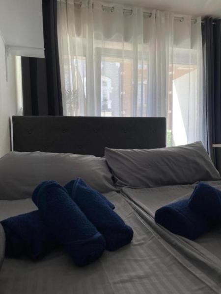 Cozy Central Apartment - Trèves