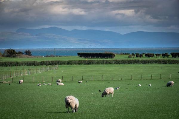 Ty Bach, Llanbedrog - Pwllheli