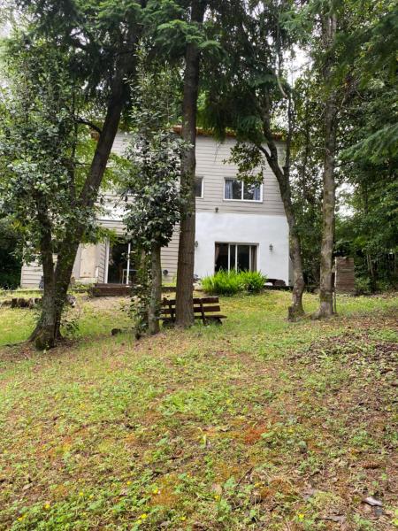 La Amapola - Los Lagos