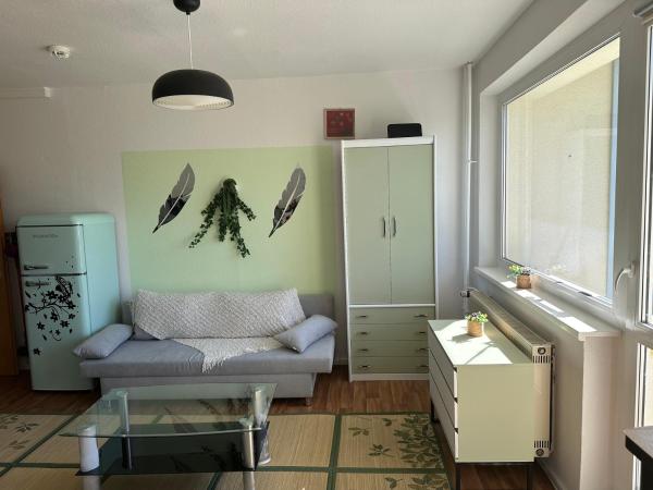 Ruhige Sonnige 1,5 Zimmer Wohnung - Erfurt