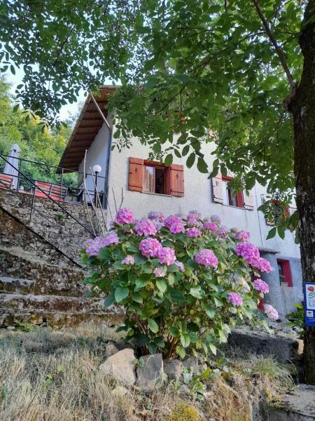 Stradafacendo B&b - Casella
