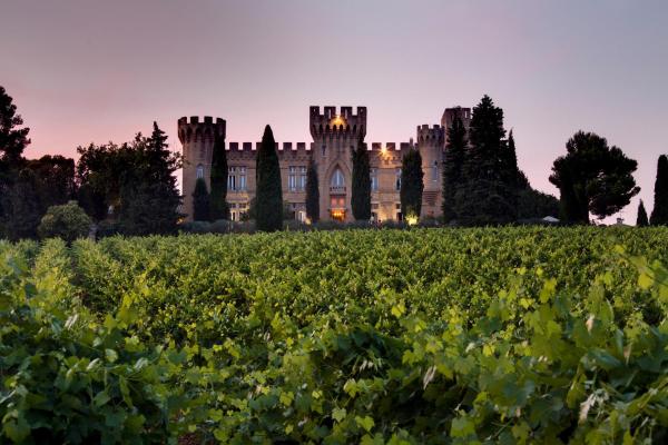 Hostellerie Du Château Des Fines Roches - Avignon