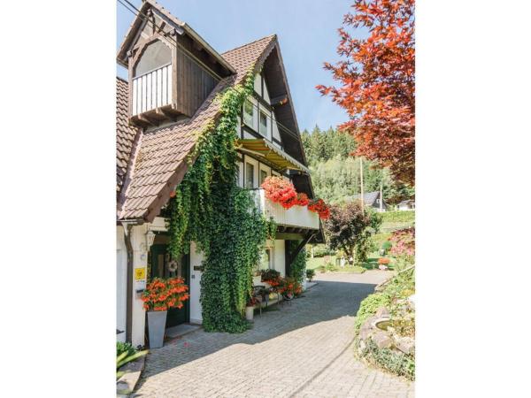 On The Sunny Slope Modern Retreat - Sundern (Sauerland)