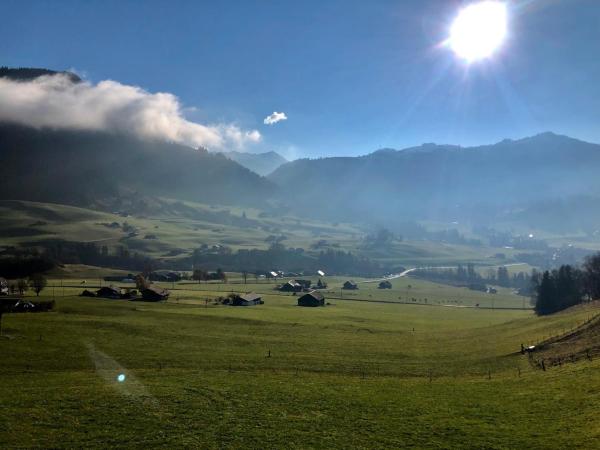 Magnifique Appartement De Standing Danièle - Charmey