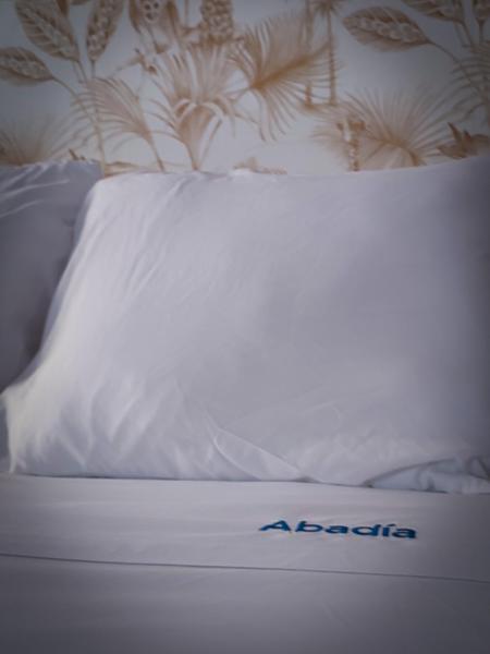 Apartamentos Abadía. - Corella