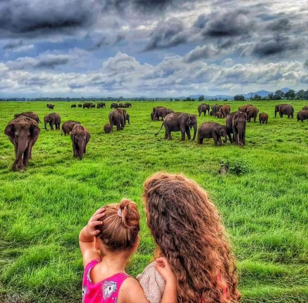 Lakmal Homestay ,10 Minutes To Sigiriya Rock - Sri Lanka