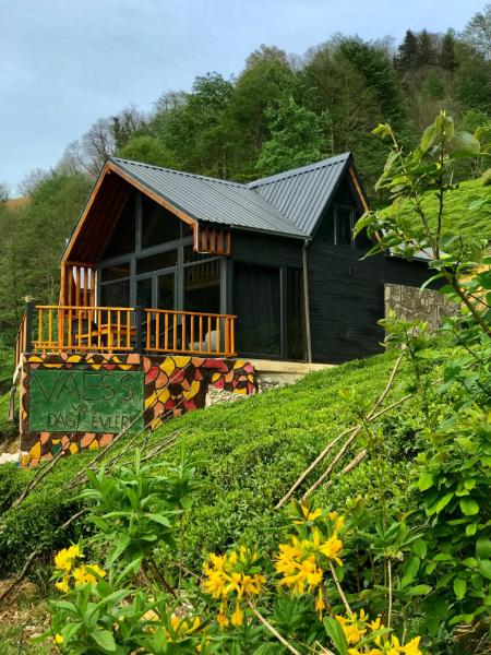 Vaess Villa Dağ Evleri - Rize