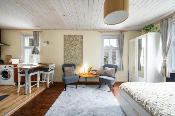 Garden Studio Next To Telliskivi & Old Town - Tallinn