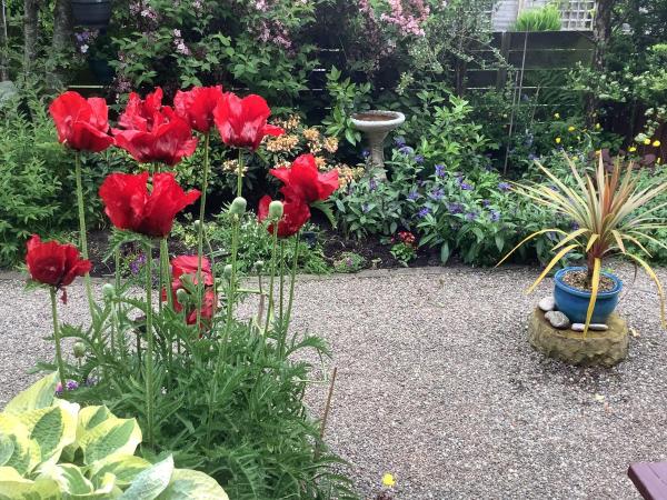 The Garden Flat - Crieff