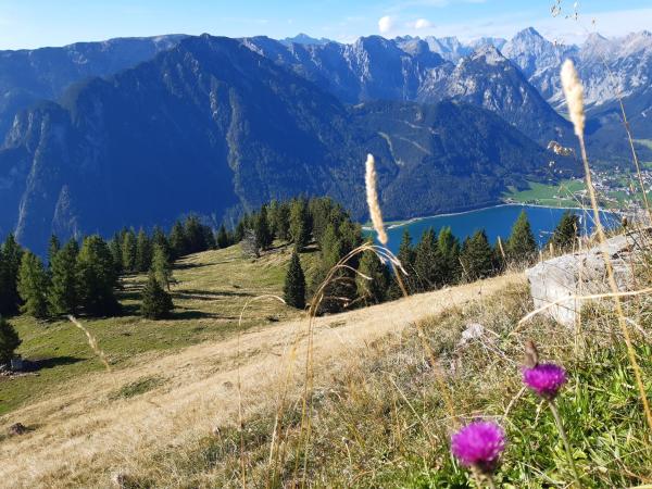 Ammergauer Vier Jahreszeiten - Bad Kohlgrub