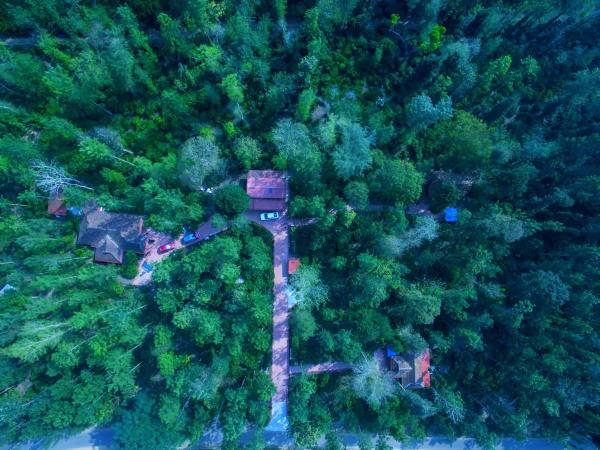 Humble Nest Coorg - Kodagu