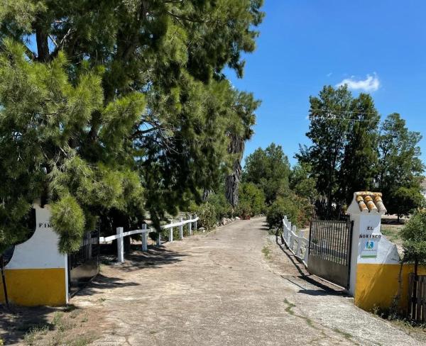 Cortijo El Morisco. - Villamartin