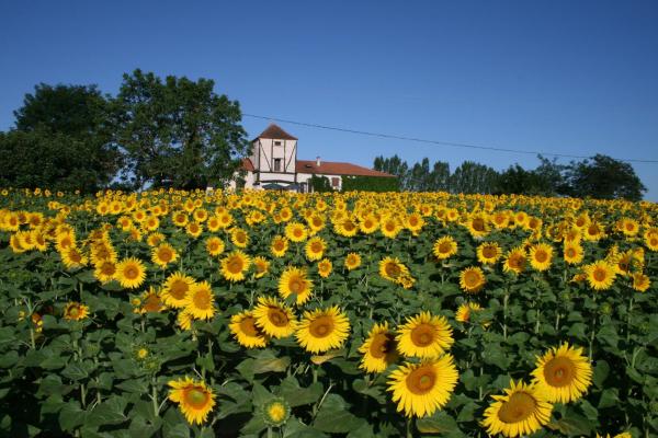 Chambres Rozies Dunes - Tarn-et-Garonne