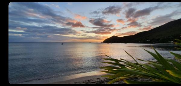 Kaz Cosy - Martinique