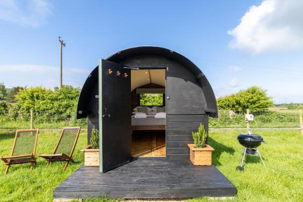 The Piglets 3 - Lymington