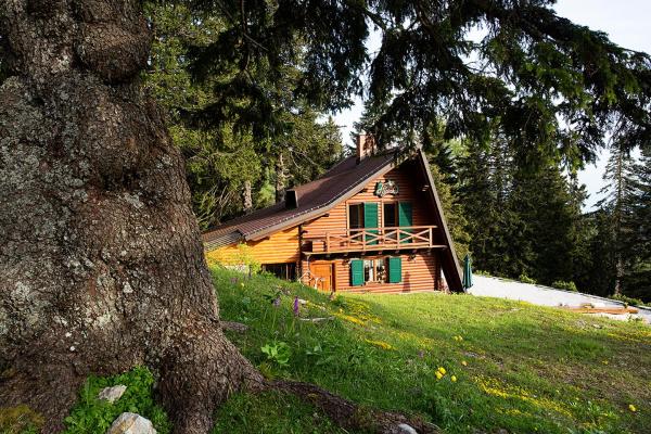 Chalet Alpinka - Logarska Dolina