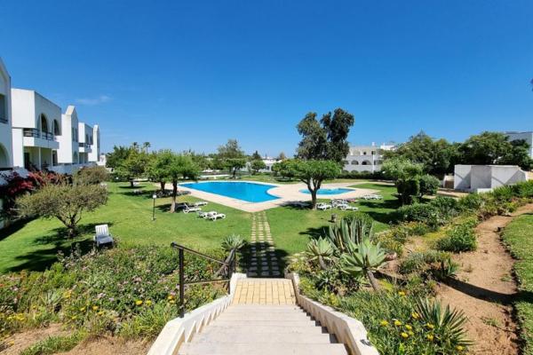 Blue Palmtree - Boliqueime