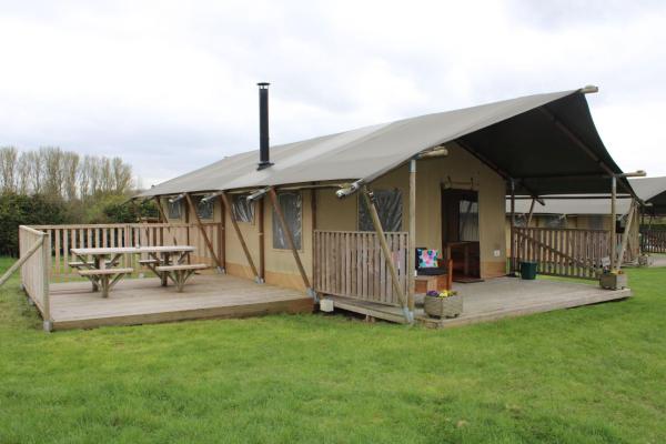 The Alpaca - Hertfordshire