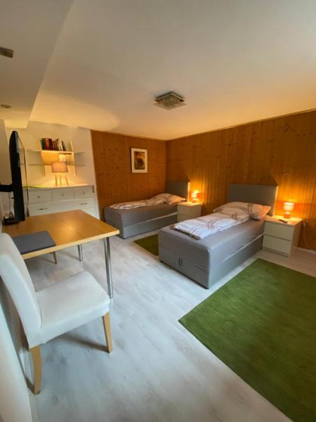Apartment Reininghaus - Low Budget - 格拉茨