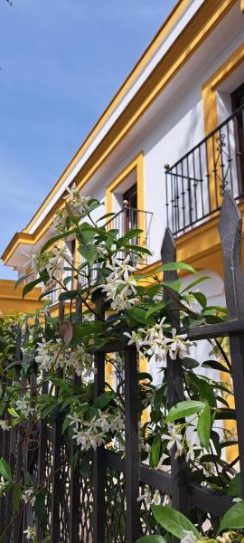 Villa Marcel - Jerez de la Frontera