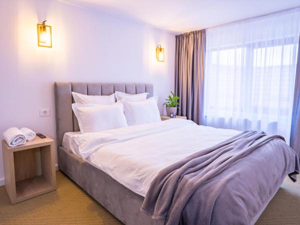 Casa Zuz Voronet - Frasin