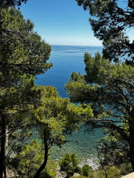 A Casa Di Ludo - San Mauro Cilento