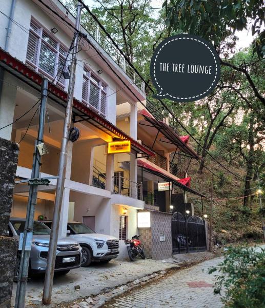 The Tree Lounge - Bhimtal