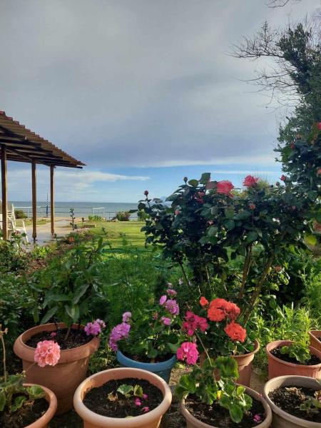 Villa Apostolos - Çanakkale