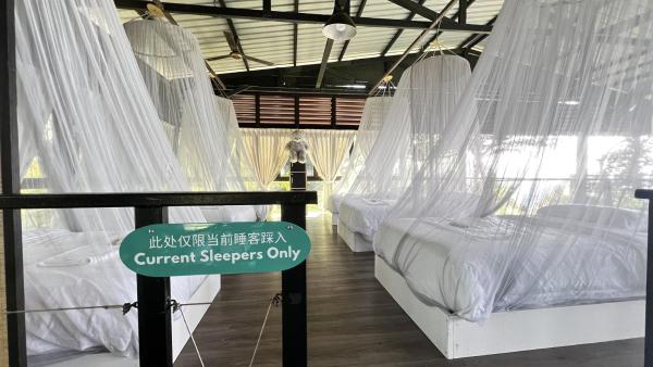 20 Open-air Fairy-style Dormitory Beds At Leafty Lodge - Eco Valley Retreat 豐之谷 - Sabah